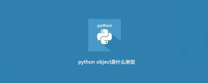 python中object是什么类型 python object是什么类型 CSDN博客